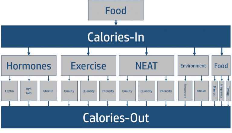 Body Weight Regulation: What Controls the Scale - Macros Inc