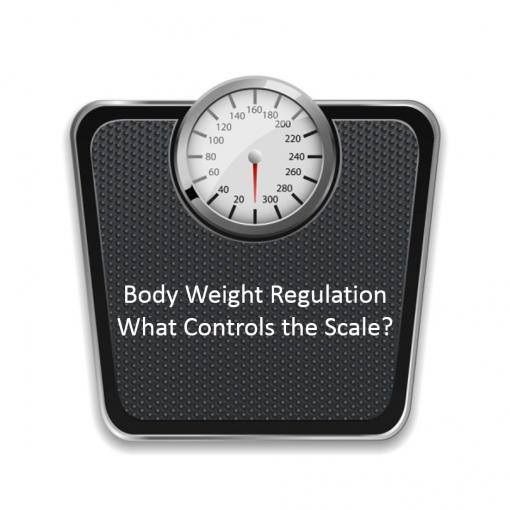Body Weight Regulation: What Controls the Scale - Macros Inc