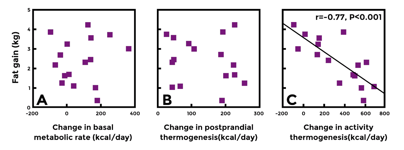 What is Basal Metabolic Rate (BMR) - Macros Inc
