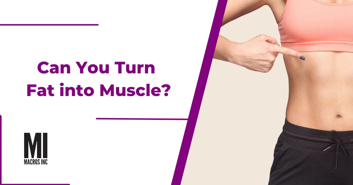 Can You Turn Fat Into Muscle? - Macros Inc