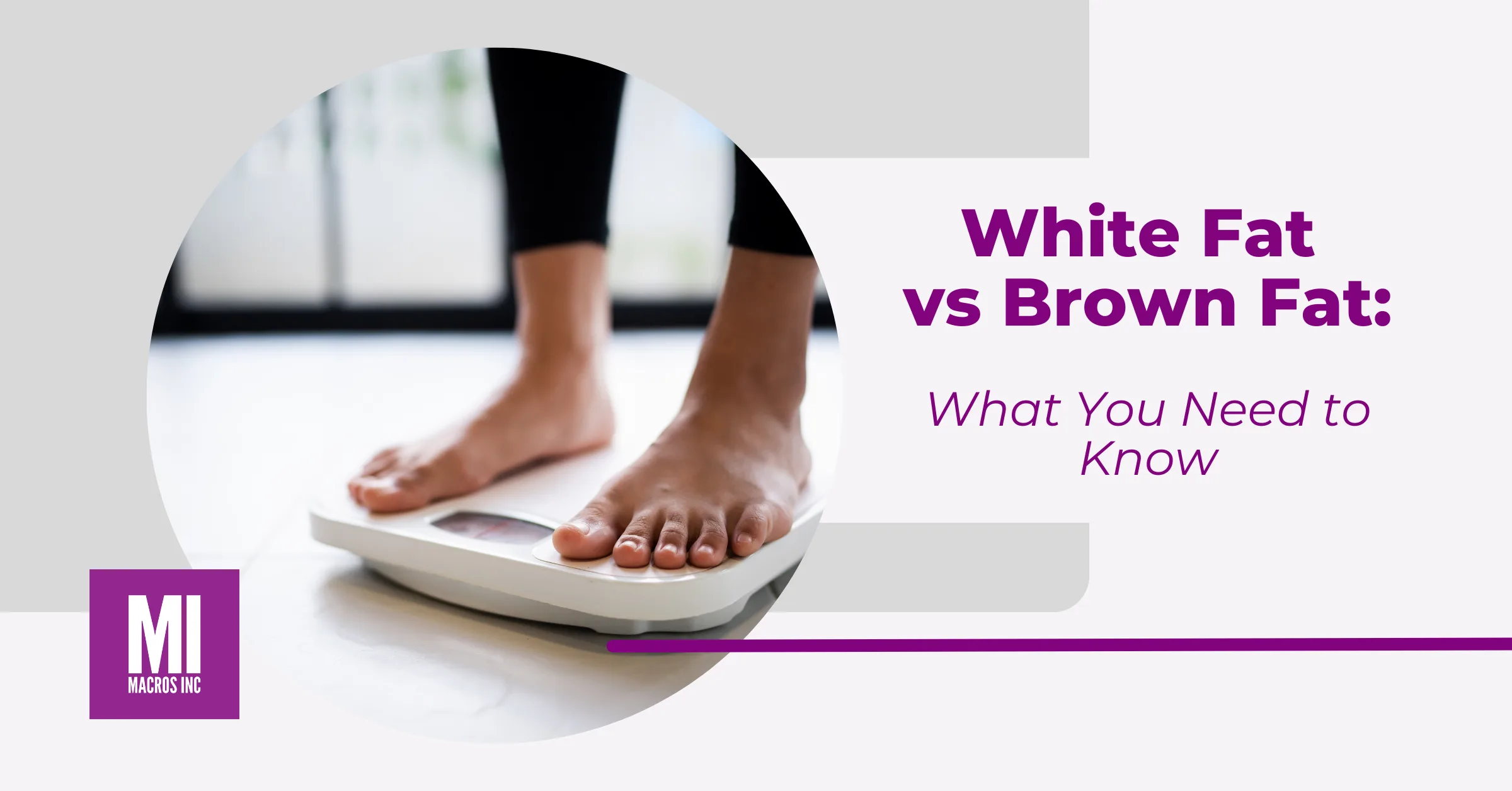 White Fat vs Brown Fat: What You Need to Know - Macros Inc