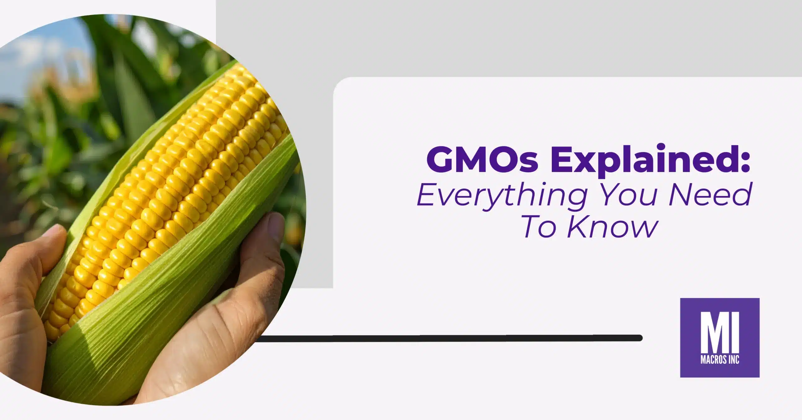 Gmos Explained Everything You Need To Know Macros Inc
